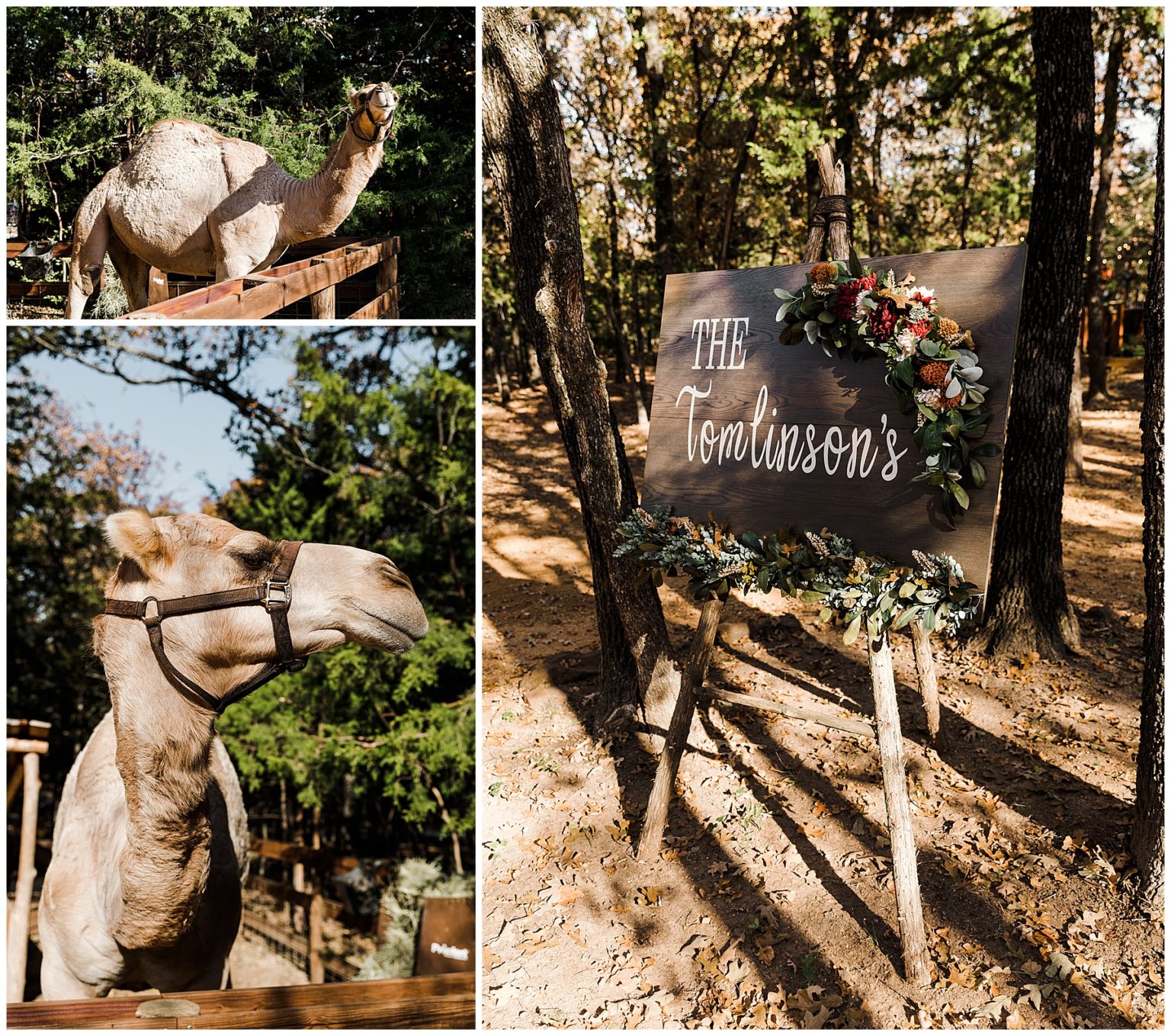Oak Meadow Ranch Wedding - Open Air Chapel with Bright Fall Tones